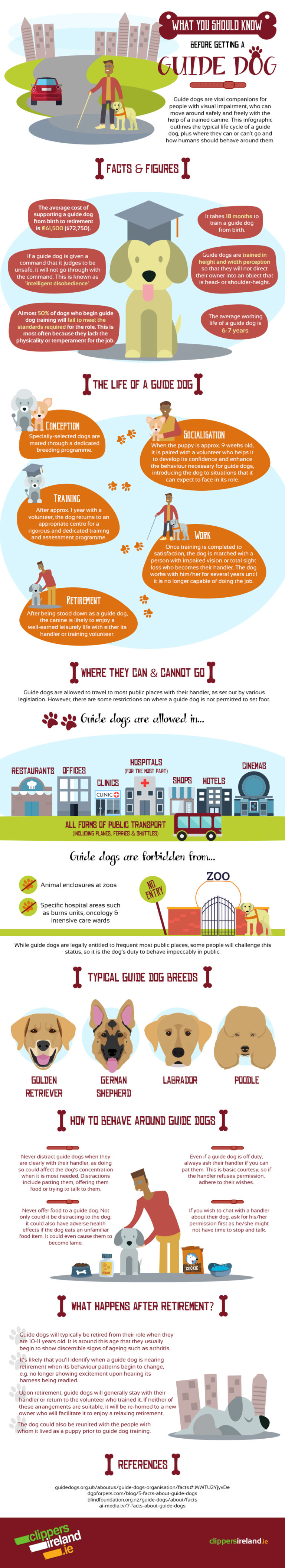 Guide Dogs: Answers to Every Question about Guide Dogs