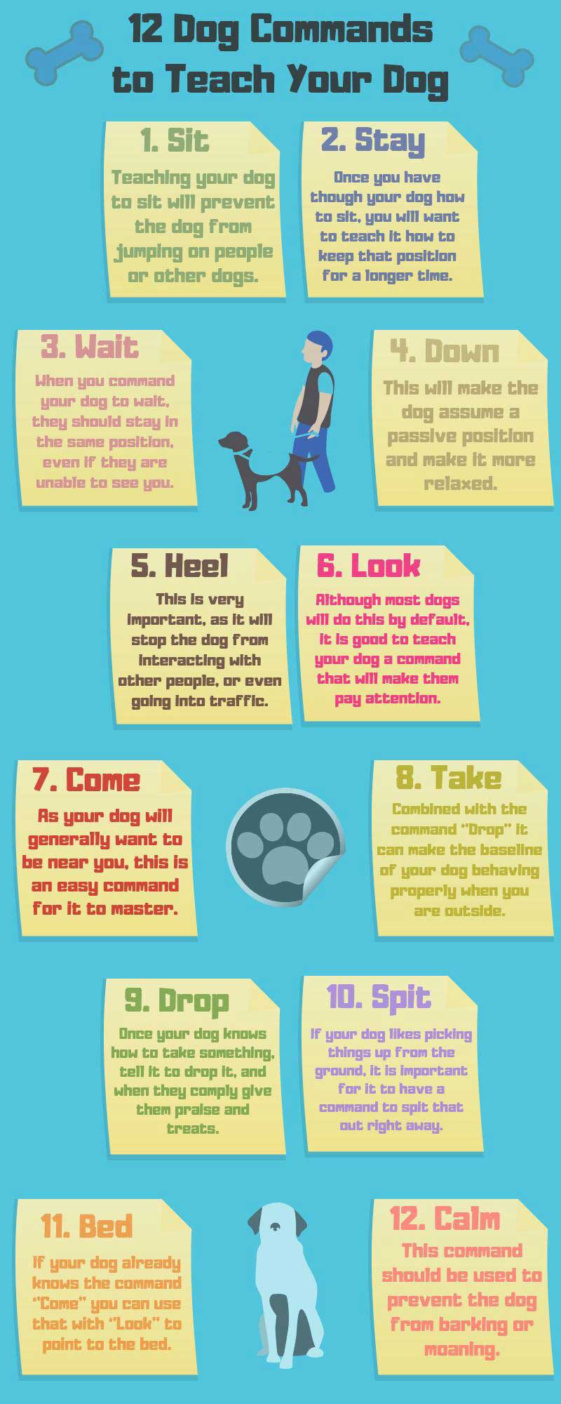 12 Commands To Teach Your Dog