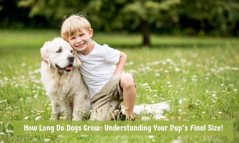 How Long Do Dogs Grow: Understanding Your Pup's Final Size!